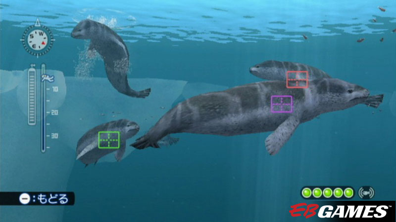 Endless Ocean 2: Adventures of the Deep - Alchetron, the free social ...